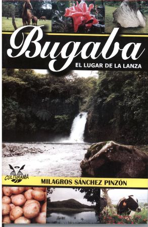 noticiasaldia: El Pueblo de bugaba